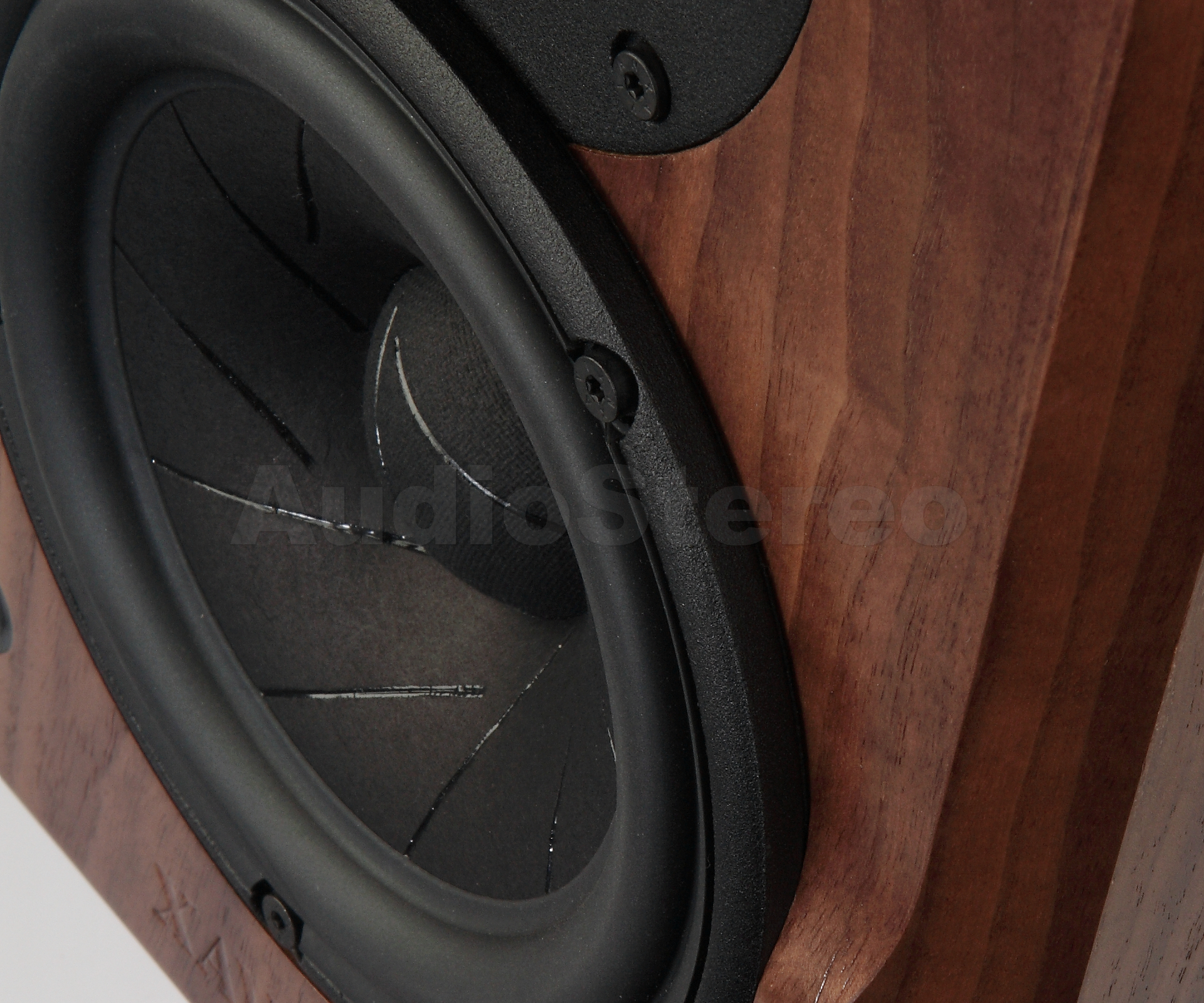 XAVIAN XN 250 Evoluzione - Incinte acustice high-end de stand